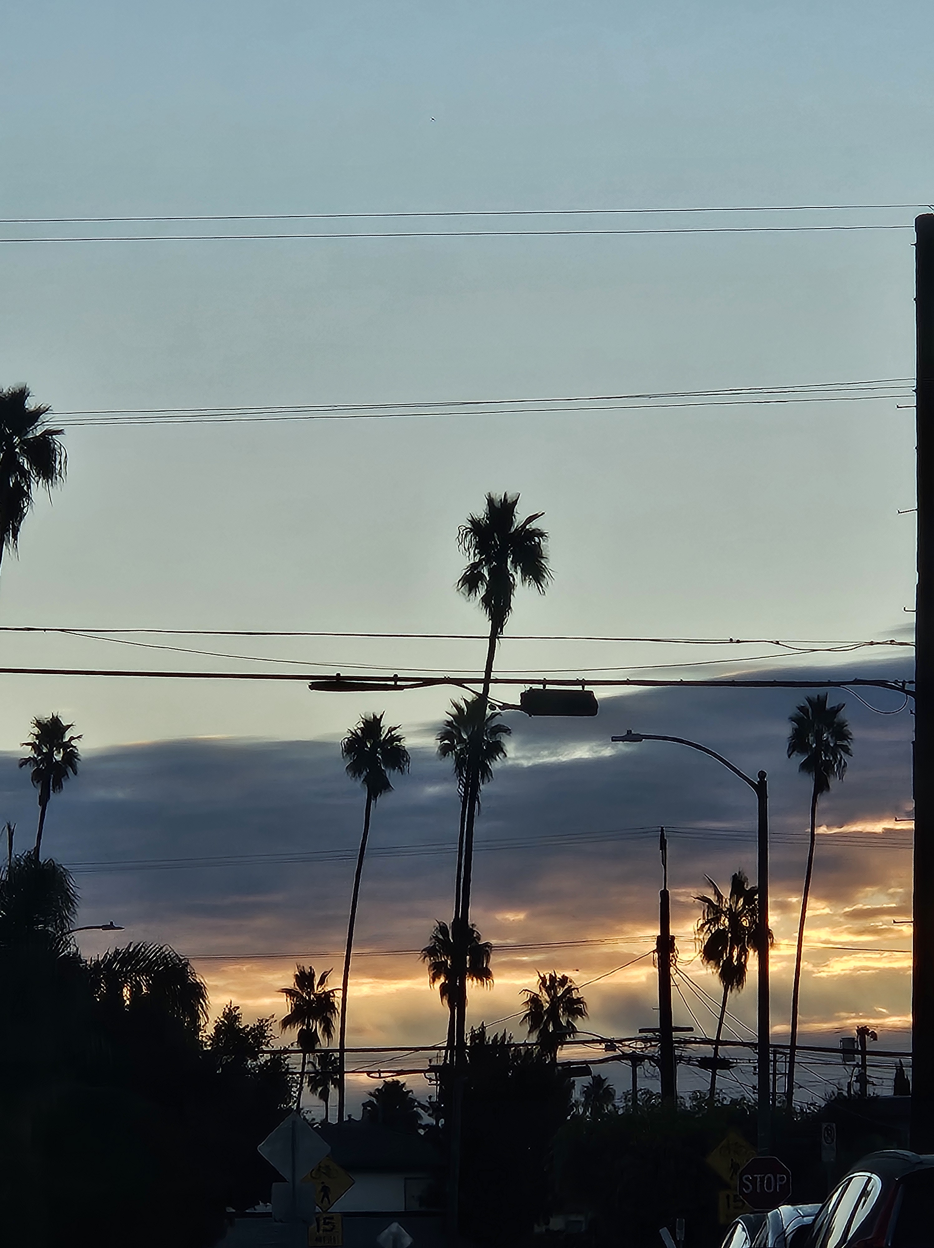 Positive MC – Sierra Mazzucca's Poetry site